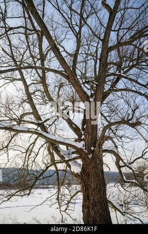 Sugar Grove, Borough in Pennsylvania during a winter snow storm with ...