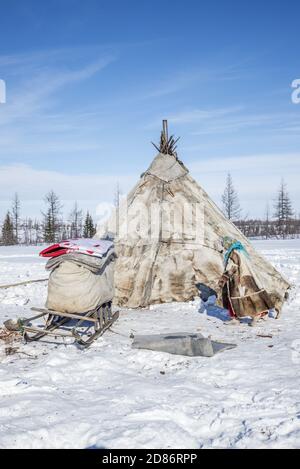 A Nenet wooden sled on a tundra landscape covered by snow. Yamalo ...