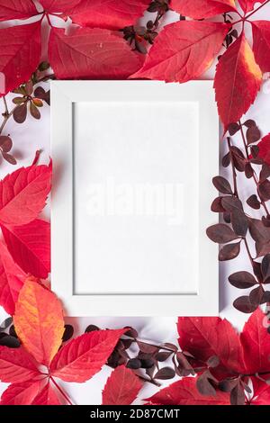 Autumn floral composition. Photo frame, colorful leaves on white ...