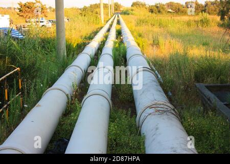 A row of pipes on a gas transport installation with the inscription ...