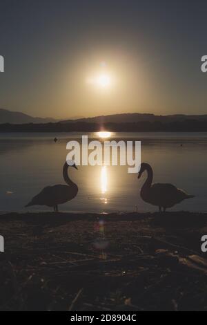 landscape in arona at sunset Stock Photo - Alamy
