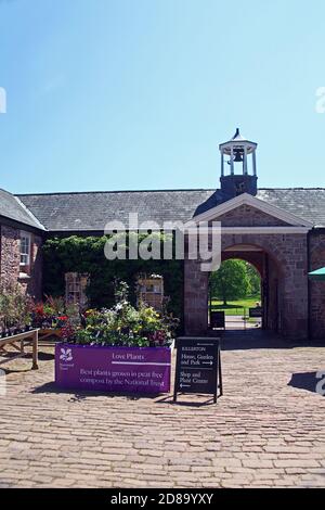 colorful courtyard in the house Stock Photo - Alamy