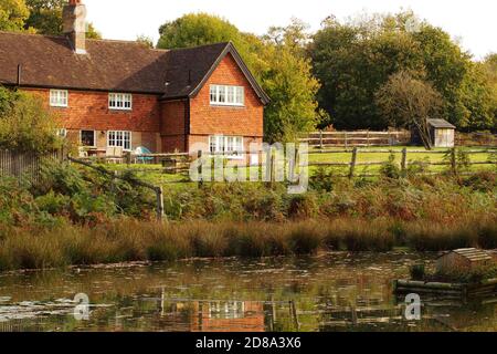 wooden duck house by a pond in the country Stock Photo - Alamy