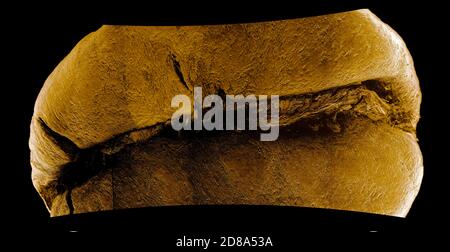 Medium roasted coffee bean imaged by scanning electrom microscope Stock ...
