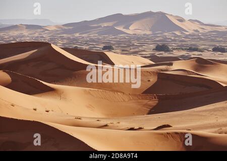 Endless Sands of the Sahara desert. Beautiful sunset over sand dunes of ...