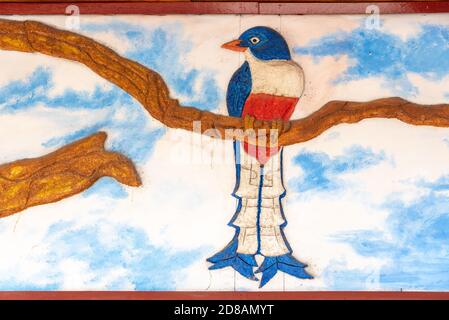 Cuban national symbol, tocororo bird Stock Photo - Alamy