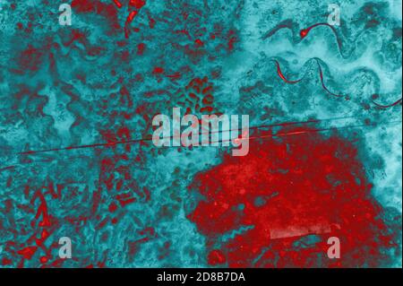 Closeup negative shot of corals underwater at the Great Barrier Reef ...