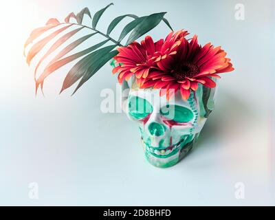 Skull in face mask with coral color gerbera flowers. Dia de los Muertos ...