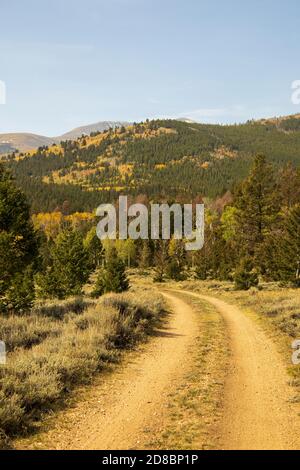 Fall 2020 along Marshall Pass, Colorado Stock Photo - Alamy