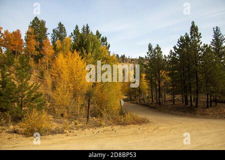 Fall 2020 along Marshall Pass, Colorado Stock Photo - Alamy