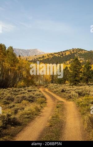Fall 2020 along Marshall Pass, Colorado Stock Photo - Alamy