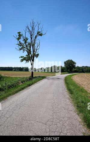 Villagana (Bs), Italy, a section of the becycle path of the Oglio river ...