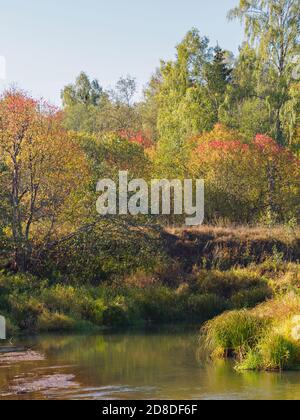 A bend in a small river and a green bank, September view Stock Photo ...