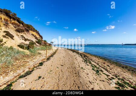 The beach and cliff at Shipstal Point in the RSPB Arne Nature Reserve ...