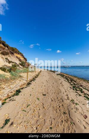 The beach and cliff at Shipstal Point in the RSPB Arne Nature Reserve ...