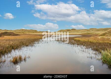FORVIE SANDS NATIONAL NATURE RESERVE COLLIESTON SCOTLAND SUMMER VIEW OF ...