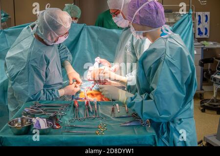 a team of gynecologists performs a caesarean section in an operating ...