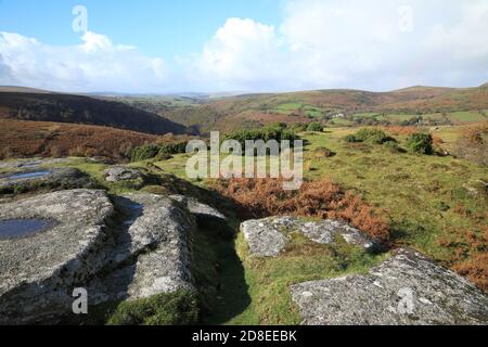 Autumnal view Bench tor towards Sharp tor, Dartmoor, National Park ...