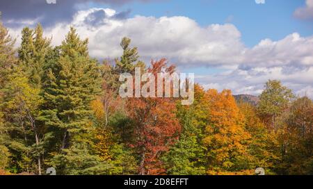 WARREN, VERMONT, USA - Autumn foliage in Mad River Valley, Green ...