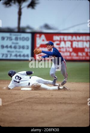 New York Yankees second baseman Jazz Chisholm Jr. looks on during the ...