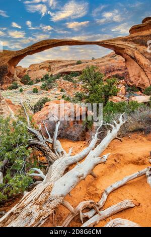 Landscape Arch Arches National Park Utah clear blue sky thin ribbon ...