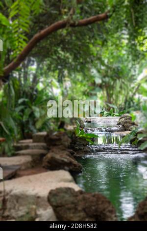 Green plants feel fresh surroundings, stock photo Stock Photo - Alamy