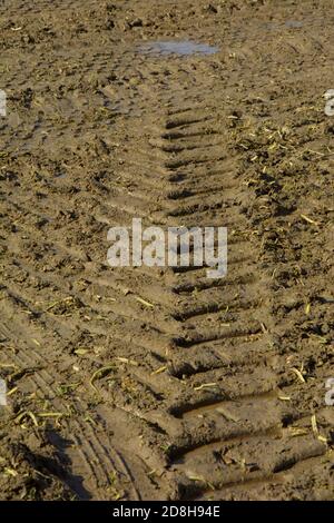Tractor wheel tracks on wet mud Stock Photo - Alamy