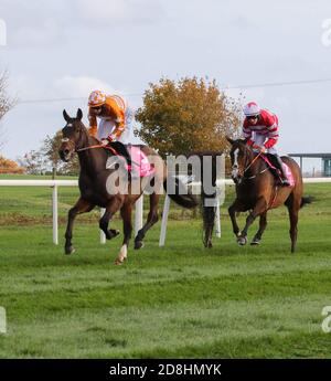 Down Royal Racecourse, Lisburn, Northern Ireland, UK. 24 Jan 2023 ...