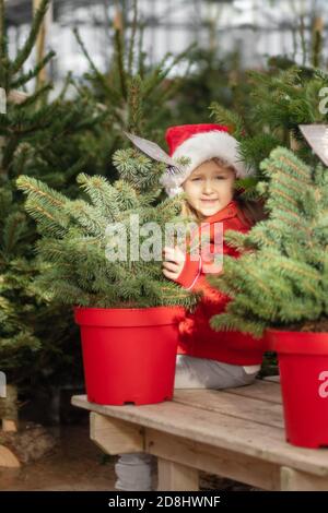 Small girl chooses a Christmas tree in the shop Stock Photo - Alamy