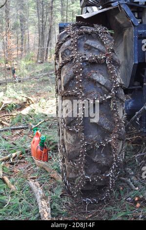 Small-scale mechanized logger uses a forwarder to move harvested logs ...