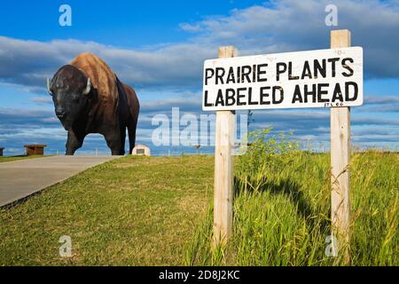 USA, North Dakota, Jamestown, World's Largest Buffalo Stock Photo - Alamy