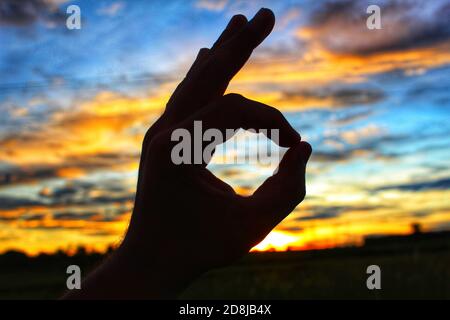 Beautiful nature backlit photography during evening backlit photo for ...
