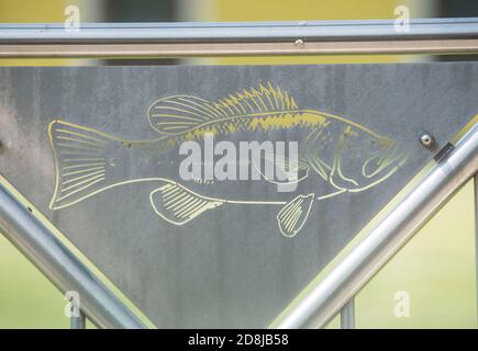 fish symbol, an aquatic animal which lives in the water fish symbol ...