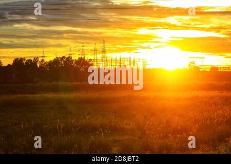 Beautiful nature backlit photography during evening backlit photo for ...