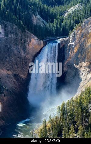 The famous and scenic Yellowstone Falls at Yellowstone National Park is ...