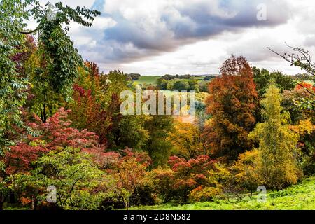 Panoramic view over Winkworth Arboretum lake, Godalming, Surrey, south ...