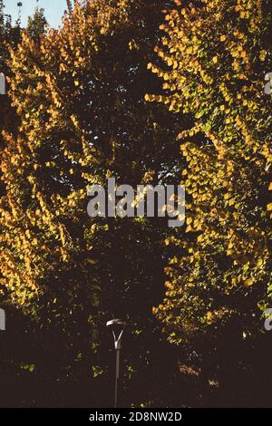 Autumn Fall in Milan Stock Photo - Alamy