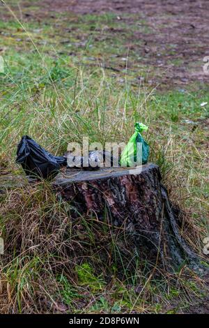 Bags of dog poo left on top of a trash bin in Castlegar, BC Stock Photo ...