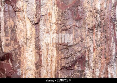 Precambrian metamorphic rock, Lake Superior region, W. Upper peninsula ...