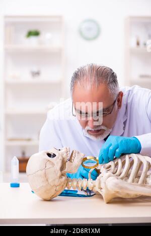 Old male anthropologist working in the lab Stock Photo - Alamy