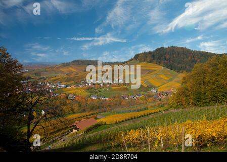 beautiful autumn scenery in Sasbachwalden in the black forest in ...