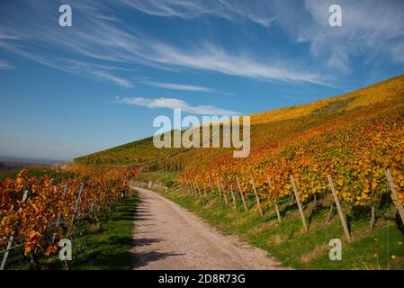 beautiful autumn scenery in Sasbachwalden in the black forest in ...