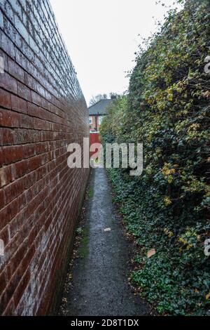 Narrow path shortcut walk Stock Photo - Alamy
