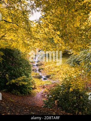 Park surrounded by colorful trees near a pathway with a street lamp on ...