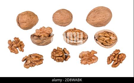 Walnut halves and whole kernels of different varieties of nuts on a ...