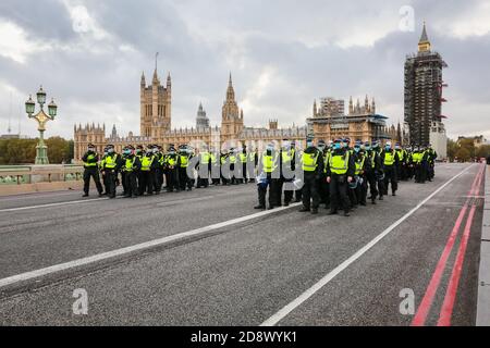 Riot policemen arrest an anti-government protester, during a protest in ...