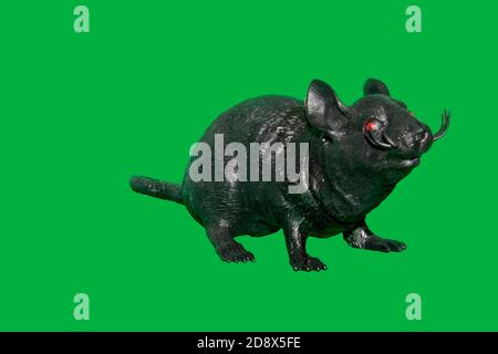A fake plastic rat standing upright so you can see it's belly and one ...