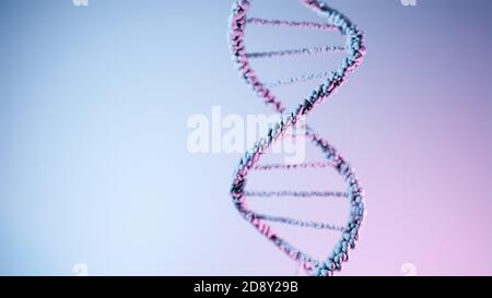 Human dna strands double helix and female and male body 3d rendering ...