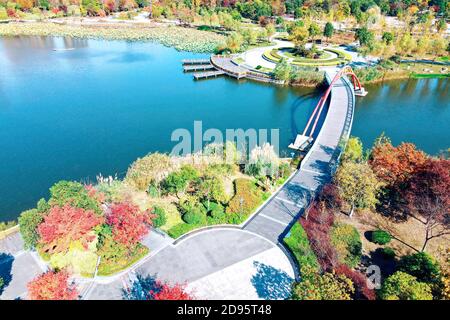 Rugao, Rugao, China. 3rd Nov, 2020. CHINA-In late autumn, Longyouhe ...