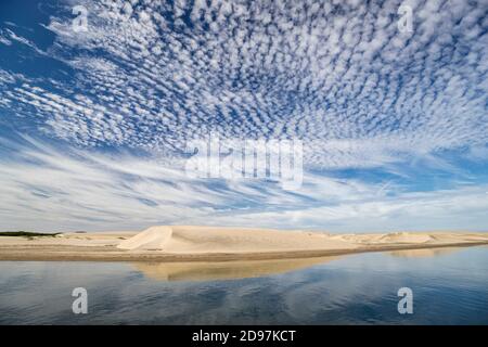 MEXICO, Baja, Magdalena Bay, Pacific Ocean, a landscape view of the ...